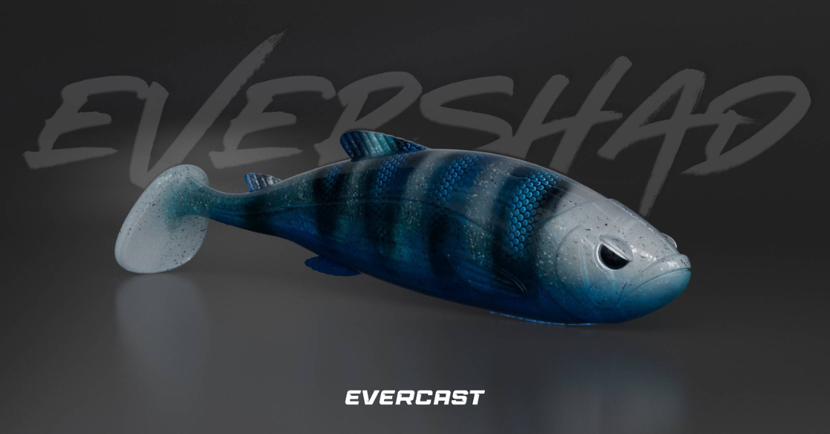 Mon histoire – EVERCAST